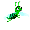 About – Little Green Bee Apothecary