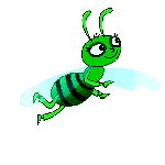 About – Little Green Bee Apothecary